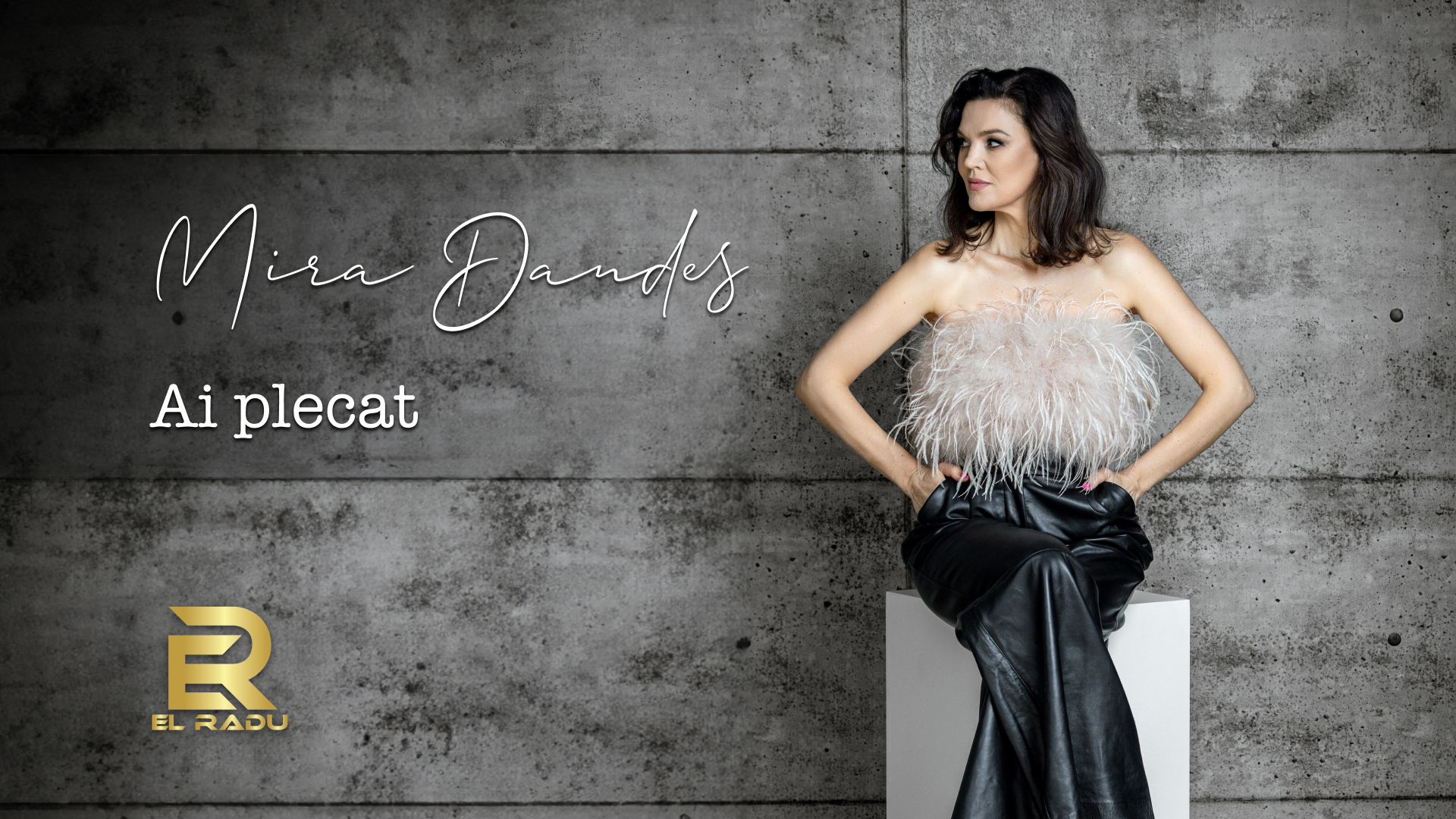 Mira Dandes debutează cu single-ul „Ai Plecat” - Openmedia